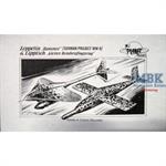 Zeppelin "Rammer" & Lippisch "Gleiter"
