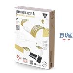 Panther Ausf. A Schürzen